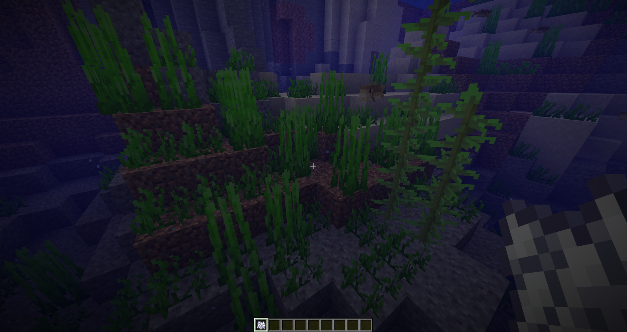 Come trovare le Alghe su Minecraft - BehindReality.it Minecraft